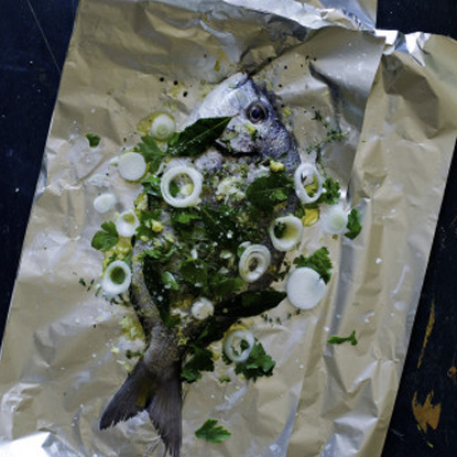 Gardenfish : MIMI THORISSON