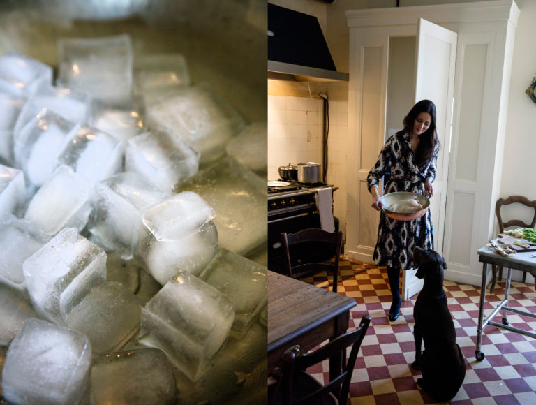 Year of the dog : MIMI THORISSON